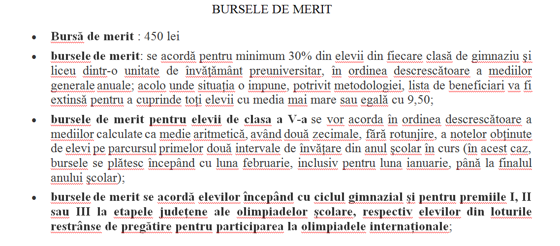 Burse de merit – ȘCOALA GIMNAZIALĂ NR. 12, TIMIȘOARA